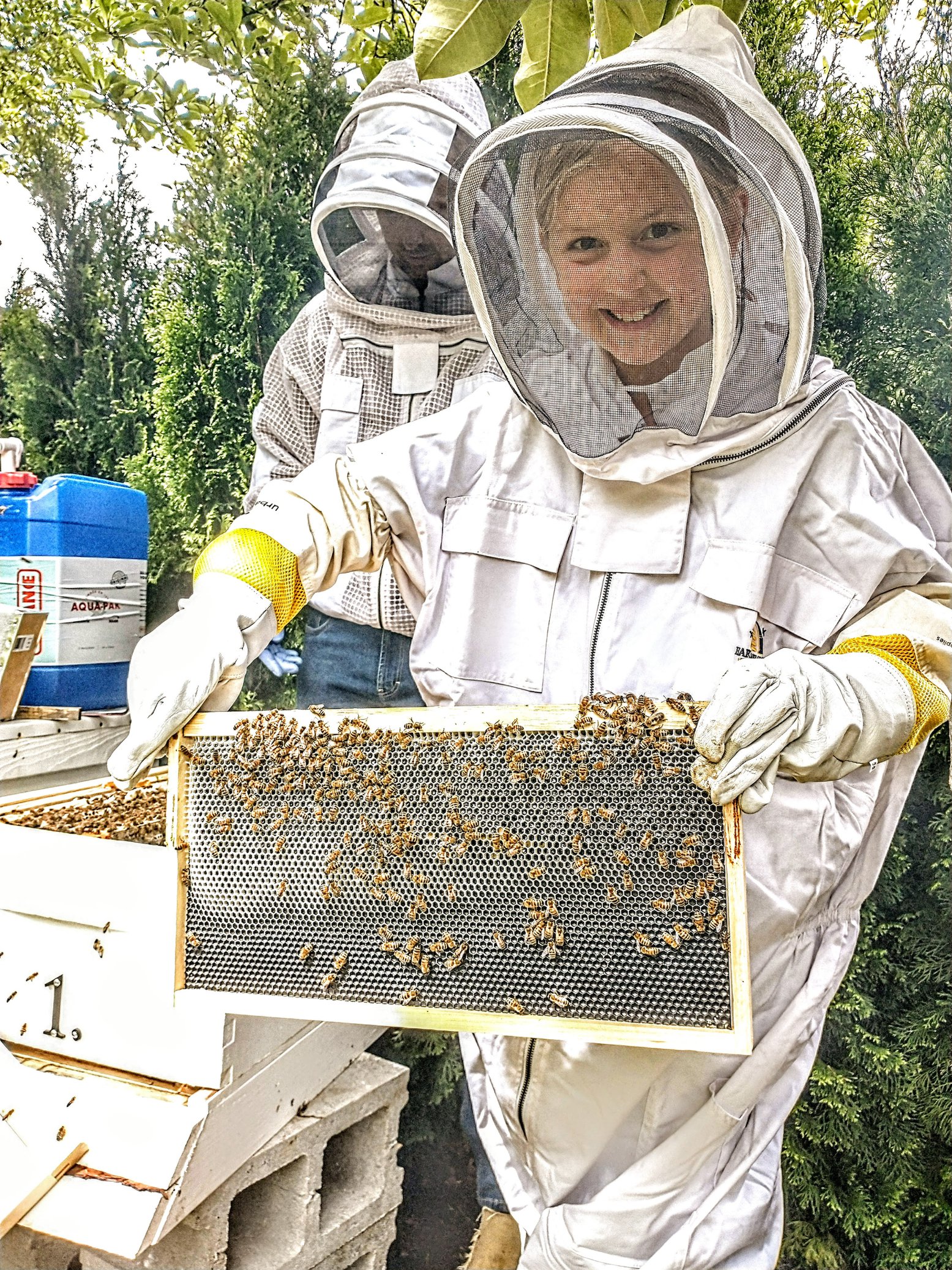 Forsyth Apiaries